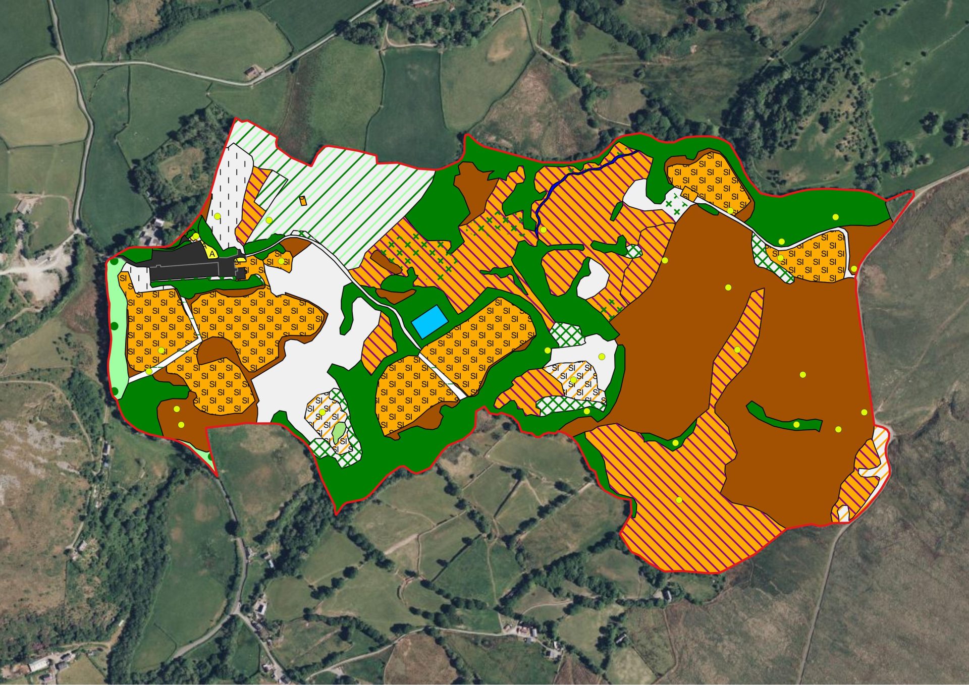 Llwyndewi, INCC’s first nature reserve! – Initiative for Nature ...